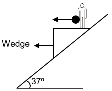 A wedge can slide frictionlessly on a fixed incline of angle 37°. A ...