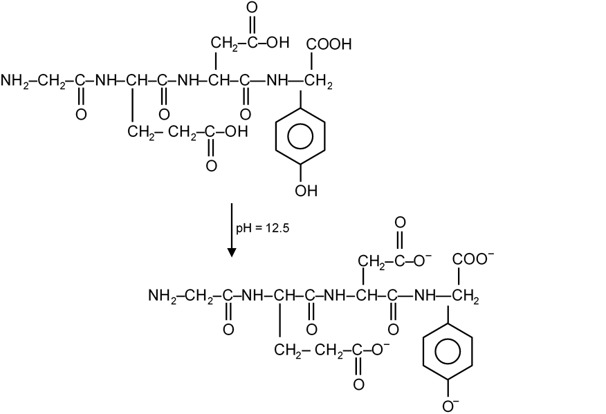 The total number of negative charge in the tetrapeptide, Gly-Glu-Asp ...