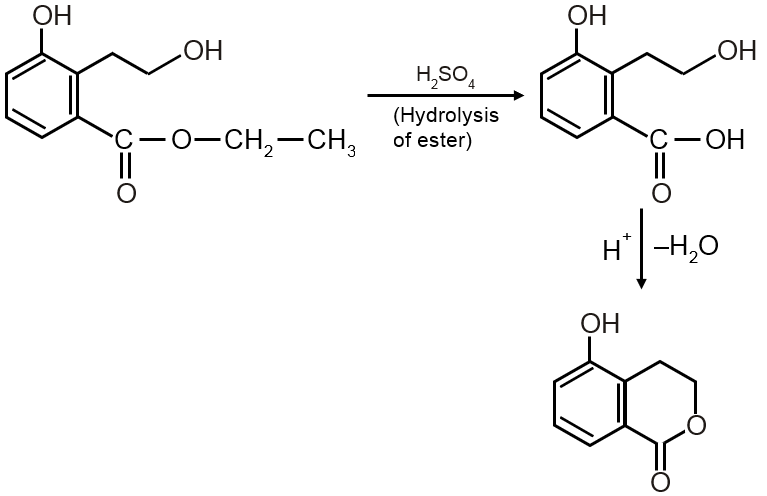 The major product of the following reaction is