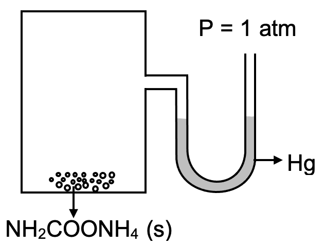 A manometer attached to 36 L flask contains some inert gas & ammonium ...