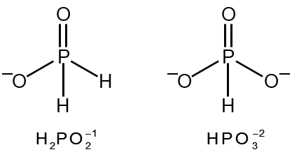Correct order of PH bond length and PO bond order in