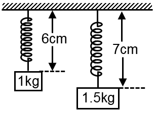 The diagram below shows two different masses hung from identical Hooke ...