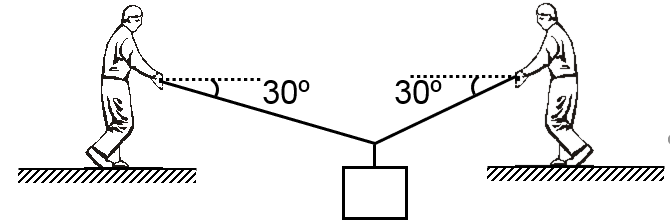 Two men pull a rope from which a mass is hanging as shown. Both apply a ...