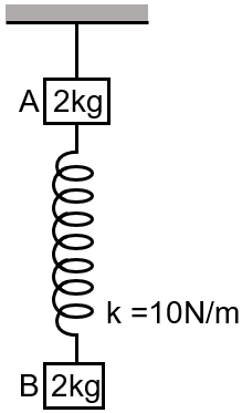 The system shown in figure is in equilibrium. The spring is light, the acceleration of both the ...