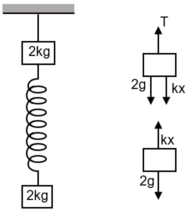 The system shown in figure is in equilibrium. The spring is light, the acceleration of both the ...