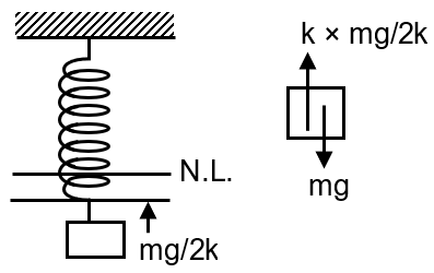 The spring mass system shown in the figure is in equilibrium at rest ...