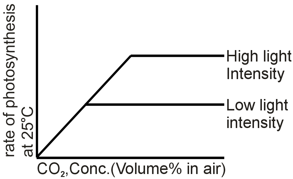 The graph below shows the relation between influence of light intensity ...