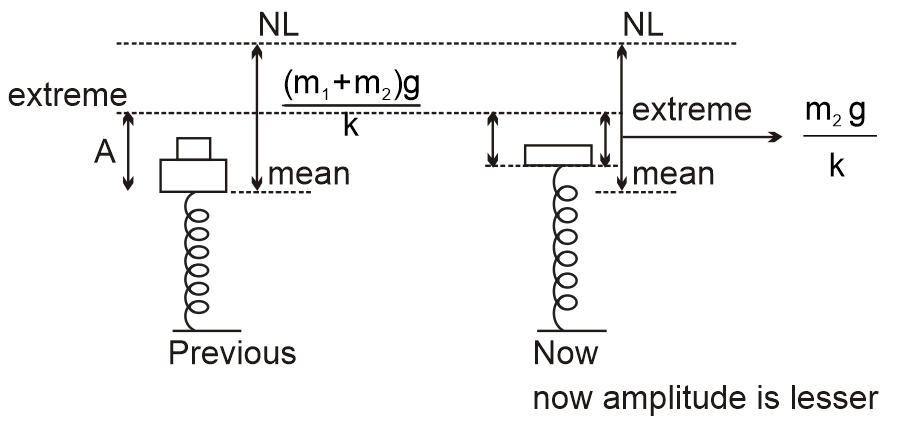 The two block system is undergoing vertical SHM as shown with amplitude ...